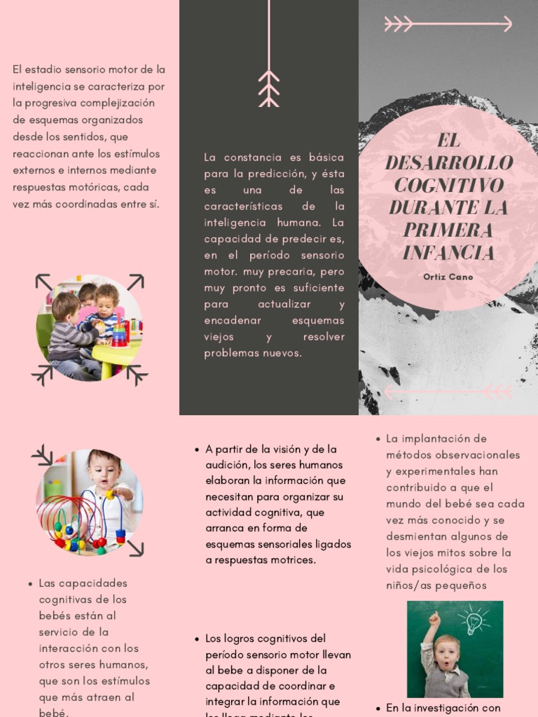 Desarrollo Cognitivo en Bebés | PDF | Percepción | Cognición