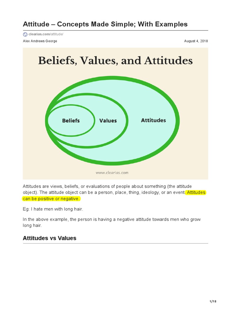 Understanding Attitudes with Examples | PDF | Attitude (Psychology ...