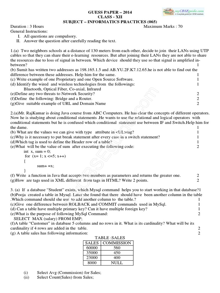 2014 12 Sp Informatics Practices 02 Pdf Computing Computer 7251