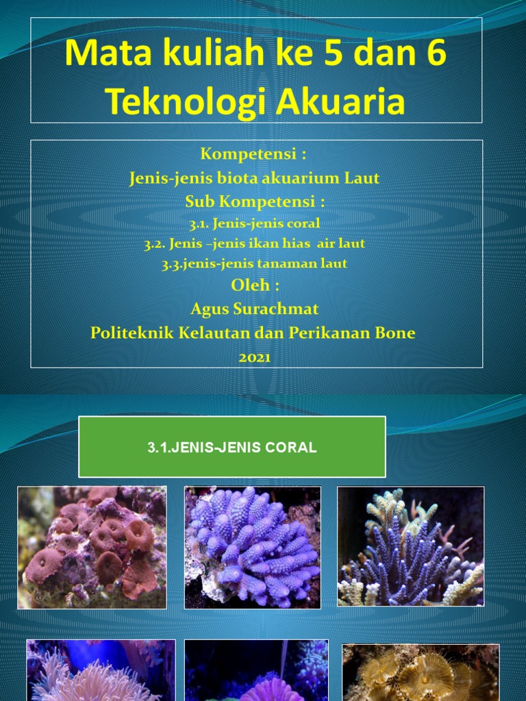 AKUARIA Ke 5 Dan 6 | PDF