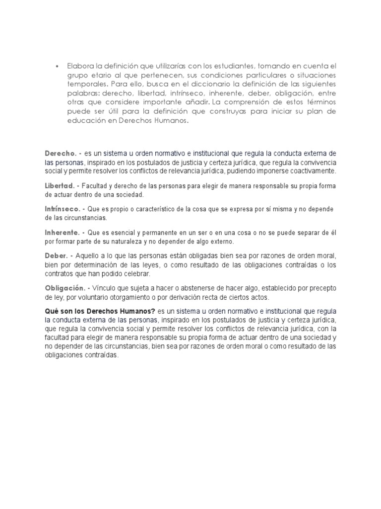Definici N de Derechos Humanos | PDF