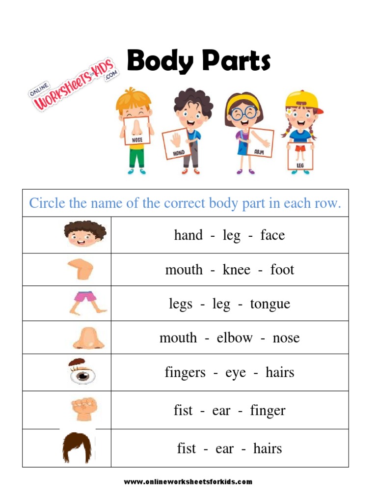 Body Parts Worksheet 6 | PDF