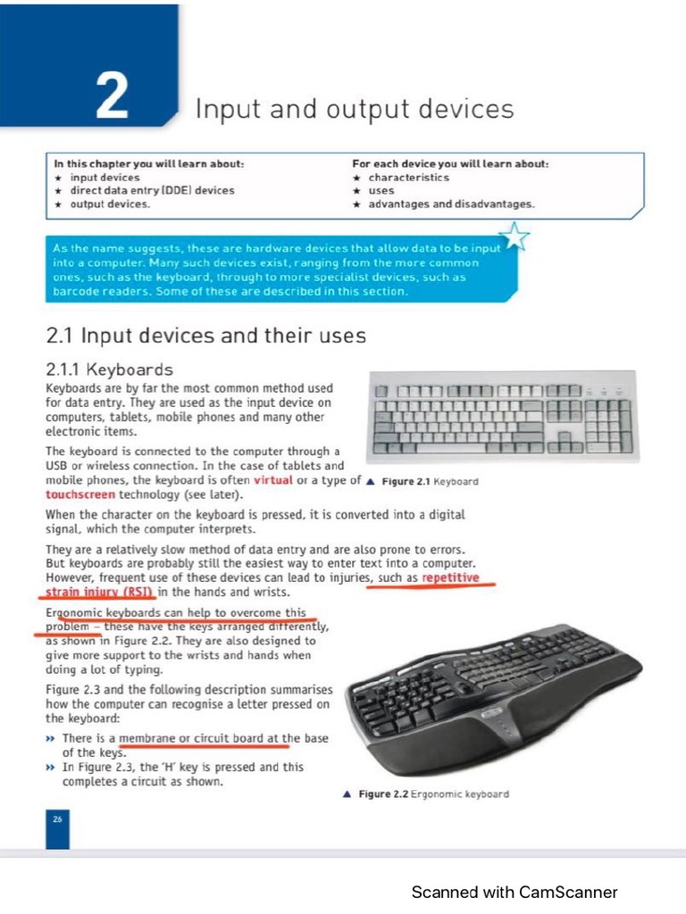 Chapter 2 Markings | PDF