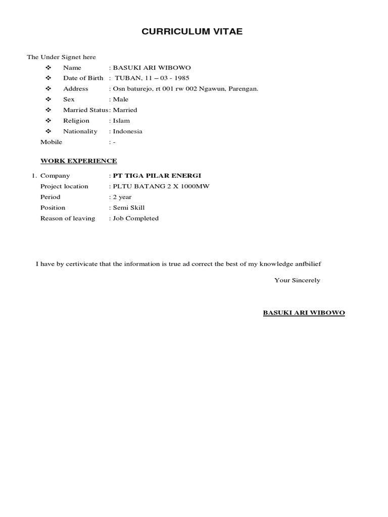 CV Basuki Ari Wibowo PDF | PDF