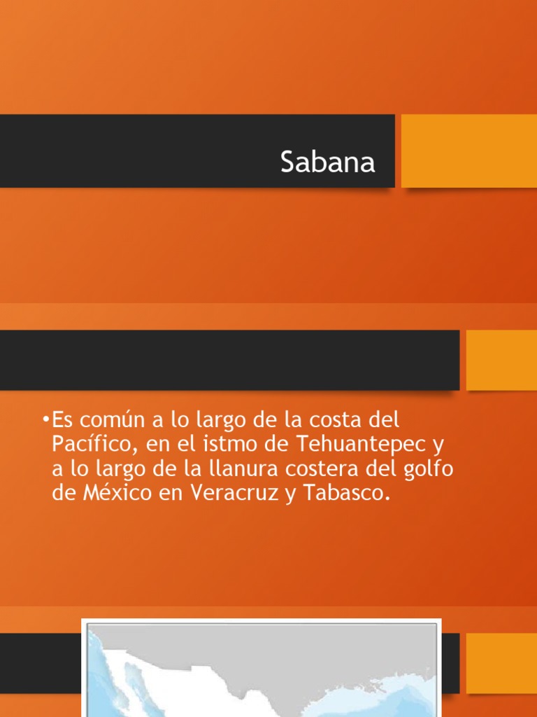 Sabana | PDF | Hogar, jardinería y bricolaje