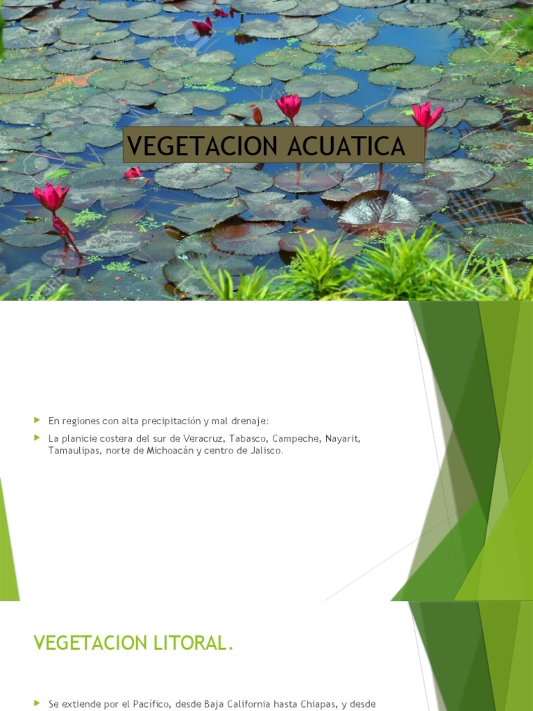 Vegetacion Acuatica | PDF