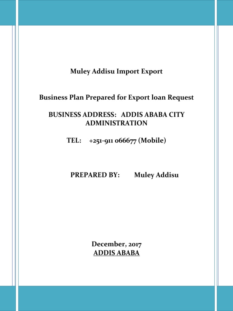 Muley Addisu Import Export Business Plan | PDF | Procurement | Marketing