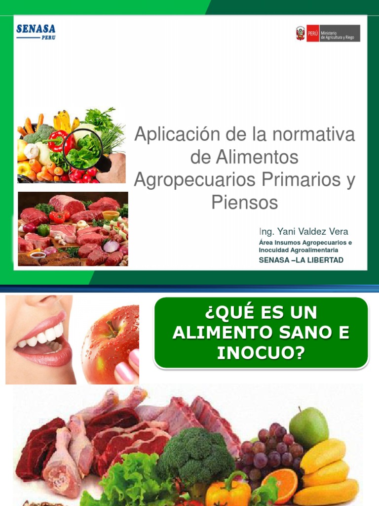 Aplicacion de Normativa en Inocuidad Dirigido A GL 120419 PDF | PDF | Seguridad alimenticia ...