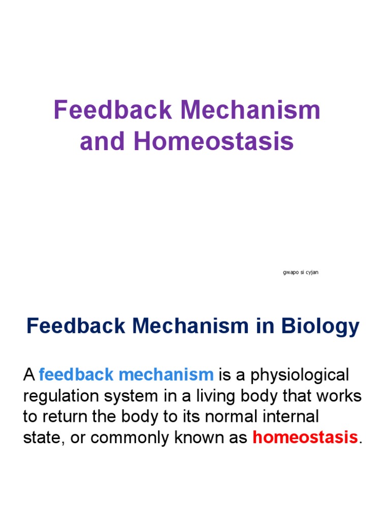 Homeostasis & Feedback Mechanisms | PDF | Endocrine System | Hormone