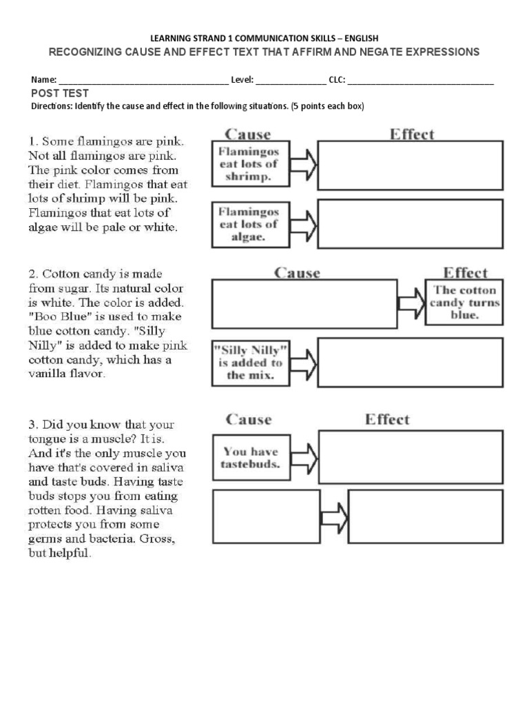 LS1E - Cause & Effect and Expression That Affirm & Negate PREPOST | PDF