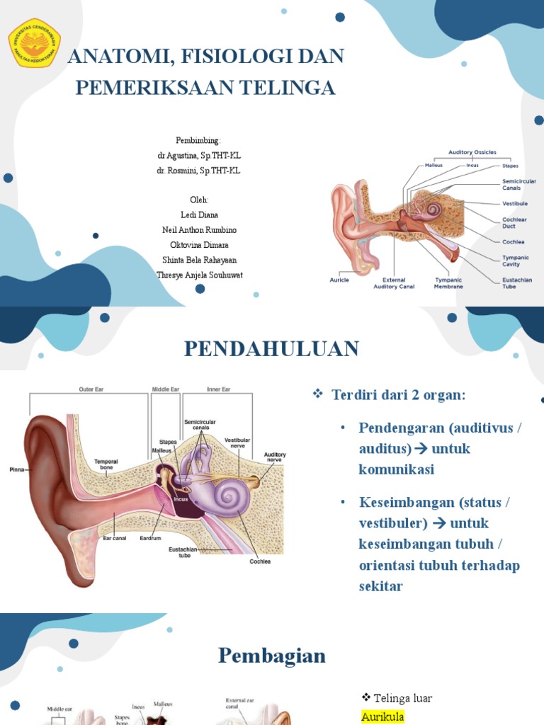 Anatomi dan Fisiologi Telinga | PDF | Sains & Matematika
