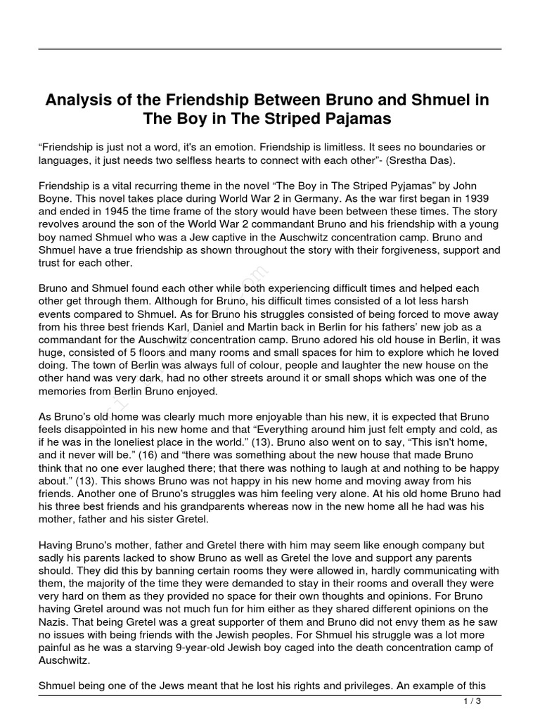 Analysis of The Friendship Between Bruno and Shmuel in The Boy in The ...