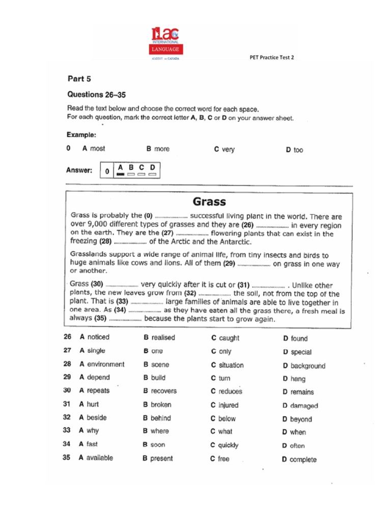 Reading Part 5 | PDF