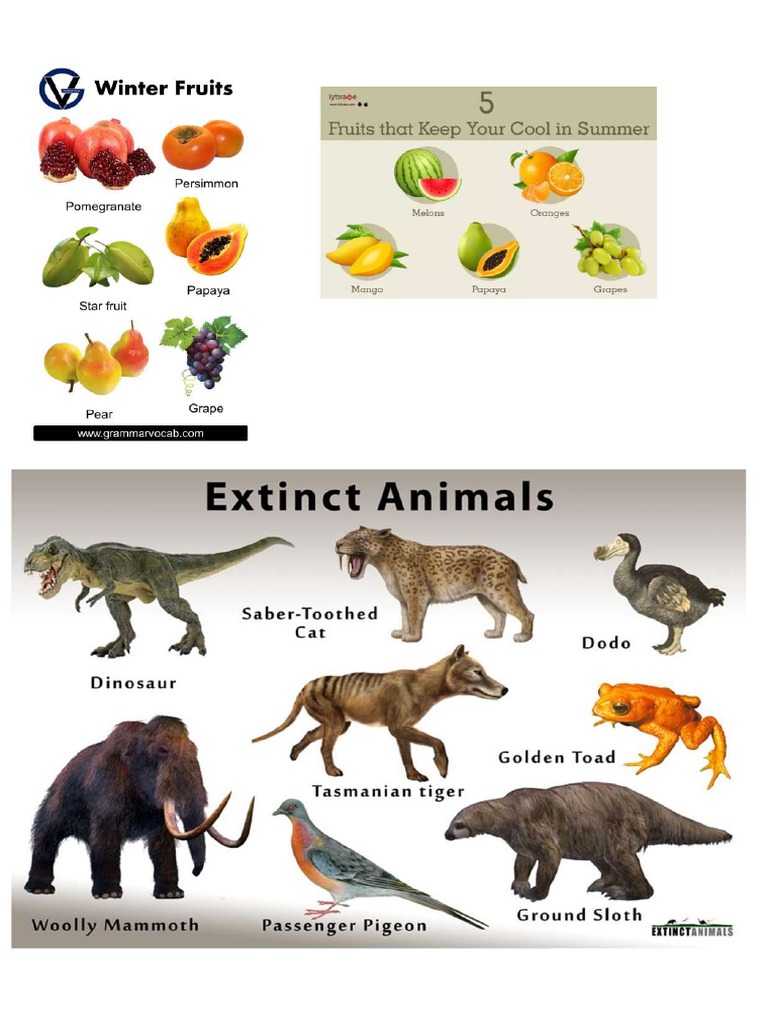 Extinct Animals | PDF