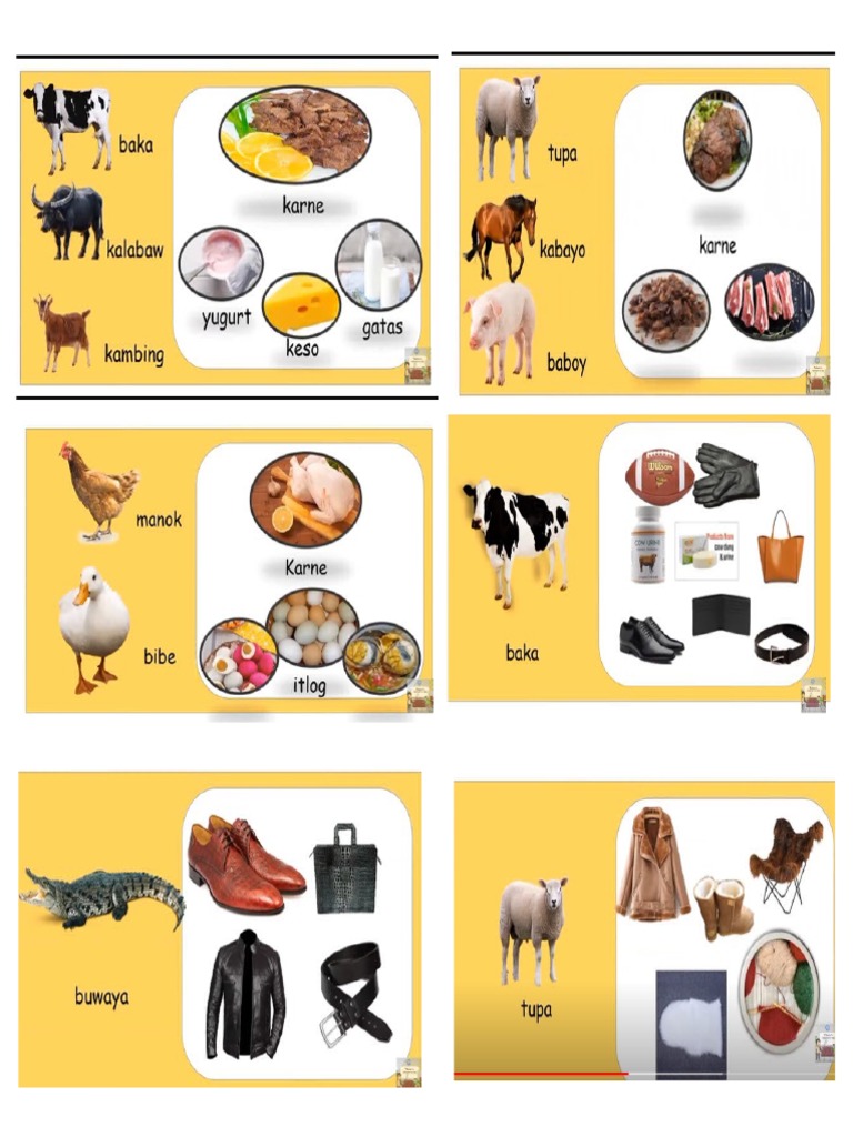 Mga Bagay Na Nakuha Sa Hayop | PDF