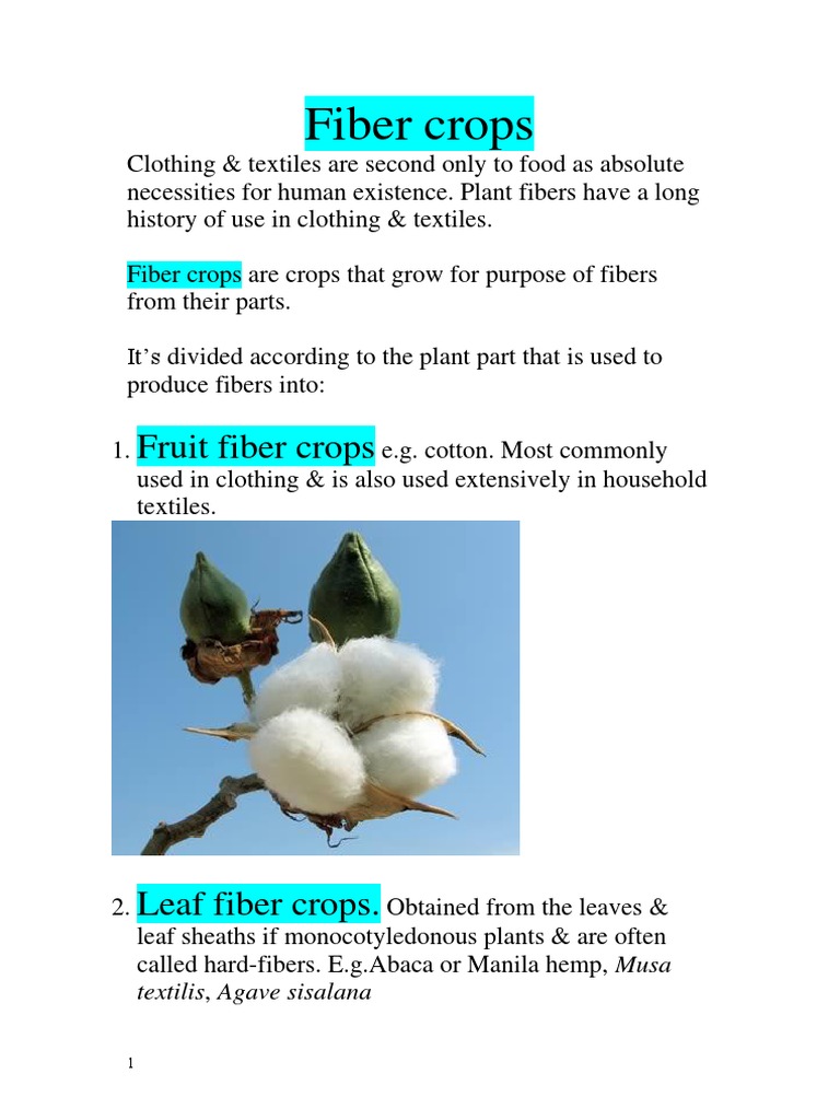 Fiber Crops | PDF