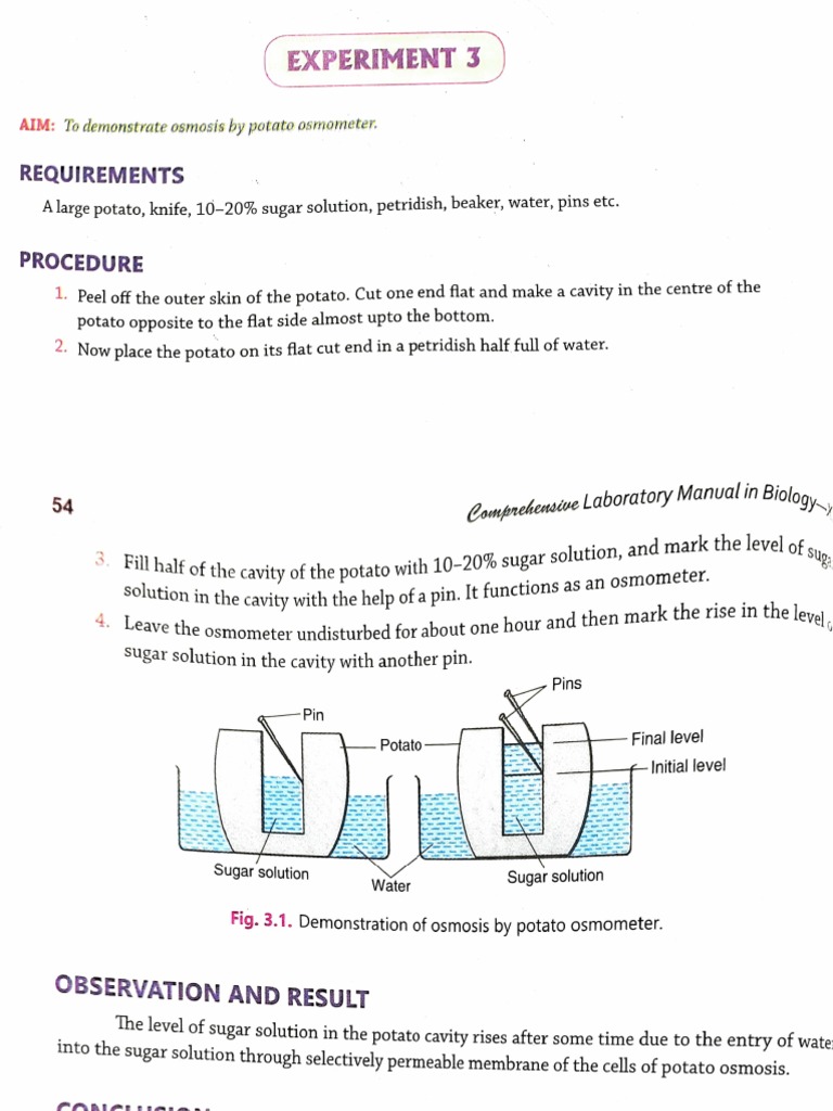 Experiment 3 | PDF | Osmosis | Physical Sciences