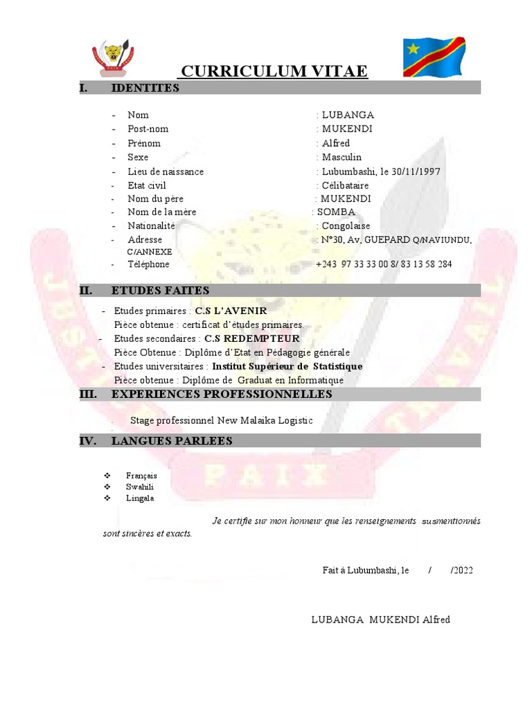 Copie de CV - BUSHIRI | PDF