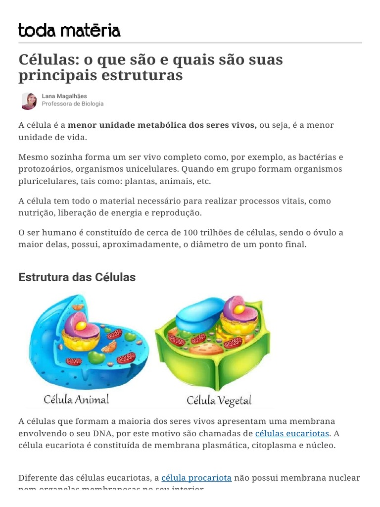 Células: o Que São e Quais São Suas Principais Estruturas - Toda ...