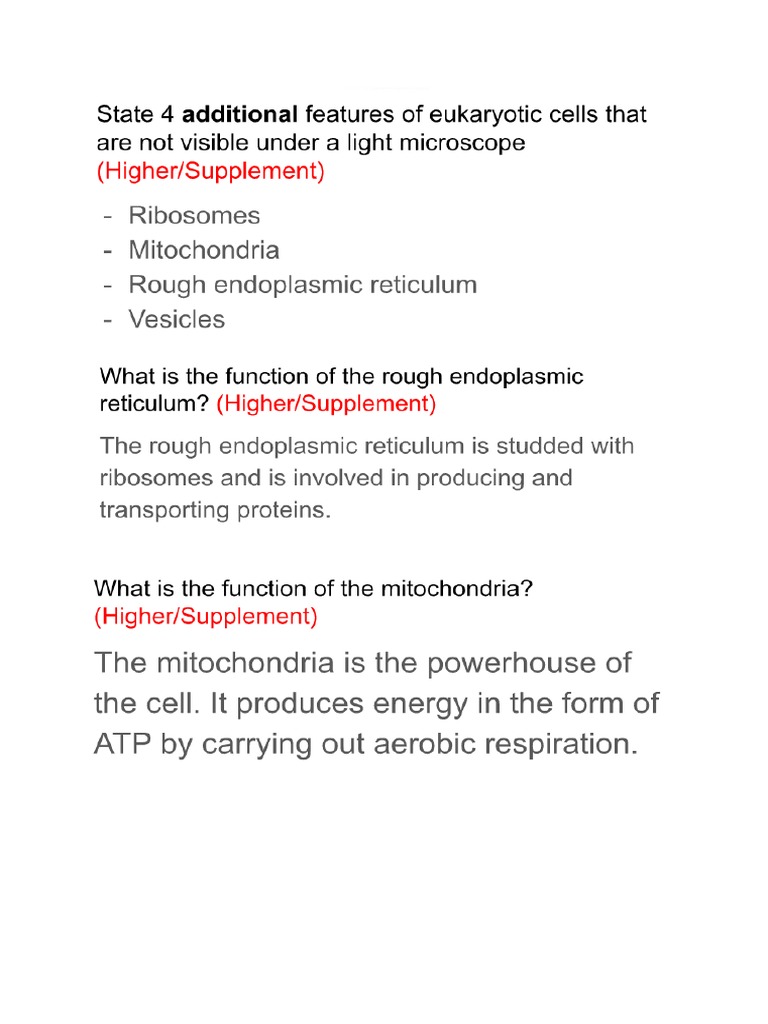 IGCSE Biology Notes (Year 10S) (Felisya Erina) | PDF