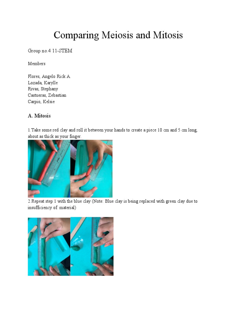 Comparing Meiosis and Mitosis | PDF | Meiosis | Mitosis