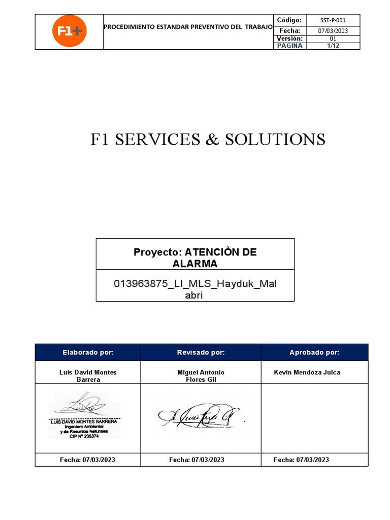 Plan - Estandar Preventivo Del Trabajo | PDF | Andamio