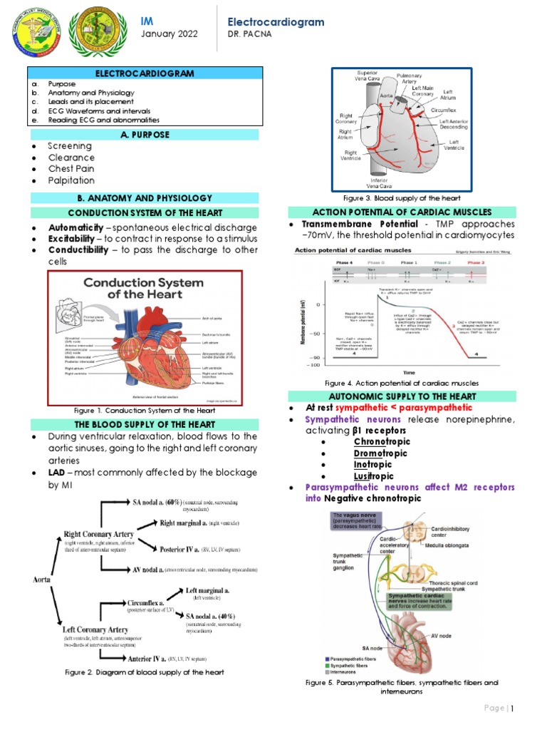 Electrocardiogram: Dr. Pacna | Download Free PDF | Electrocardiography ...