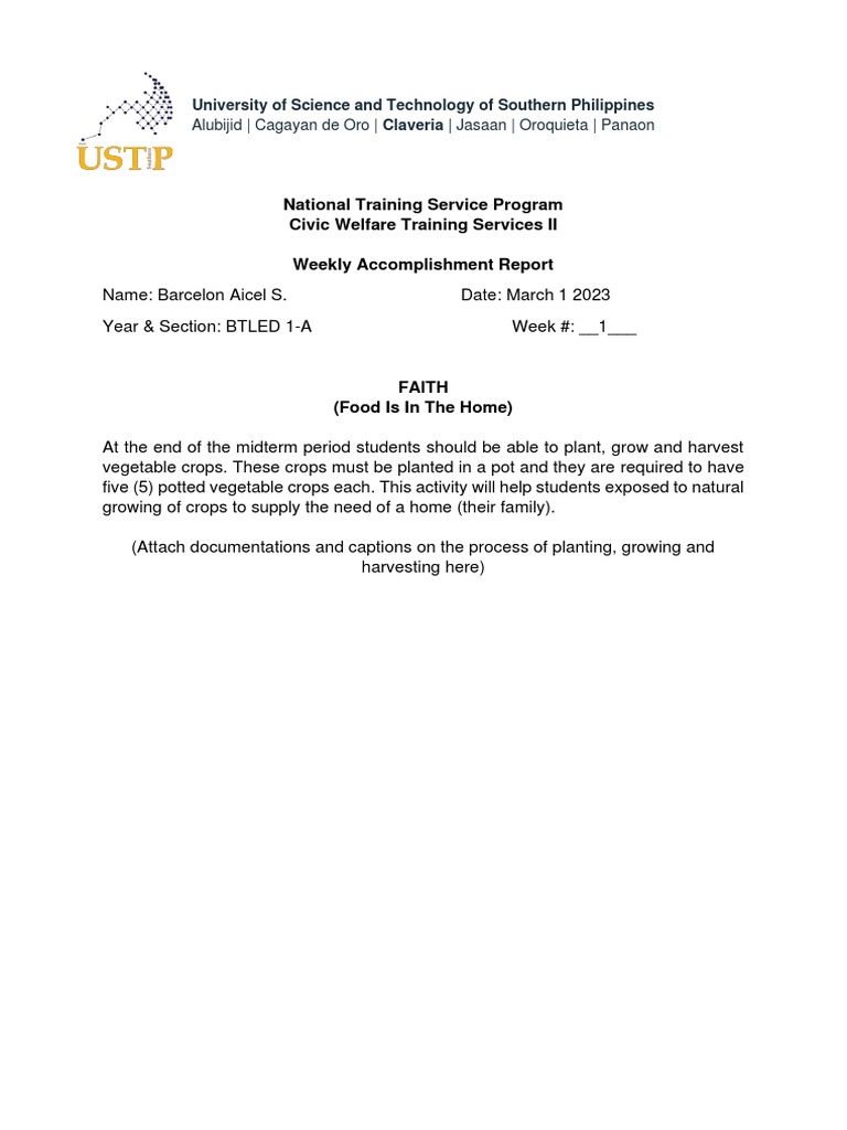 NSTP Accomplishment Report | PDF