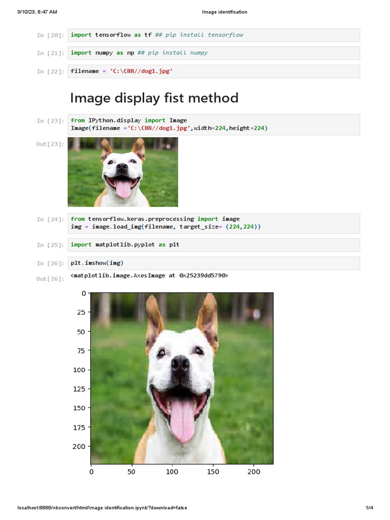 Image Classification Using MobileNet Model in TensorFlow: A Jupyter ...