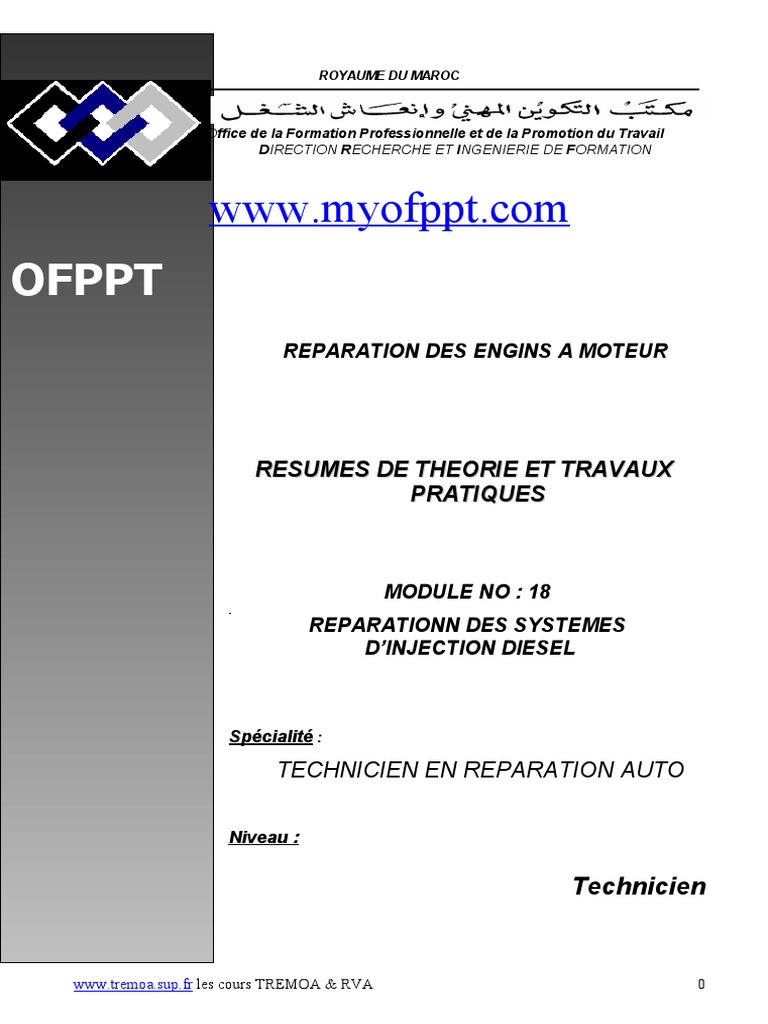 Systèmes D'injection Diesel | PDF | Injection (moteur) | Piston