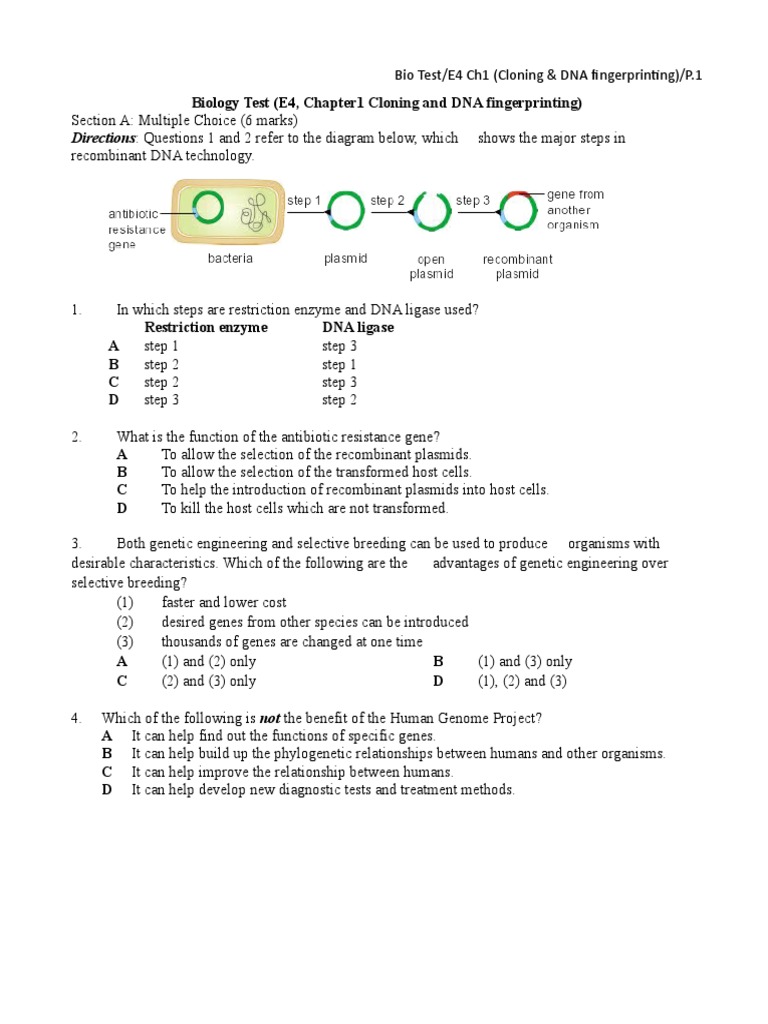 E4 - Ch1 - Test (Cloning and DNA Fingerprinting) | PDF | Molecular ...