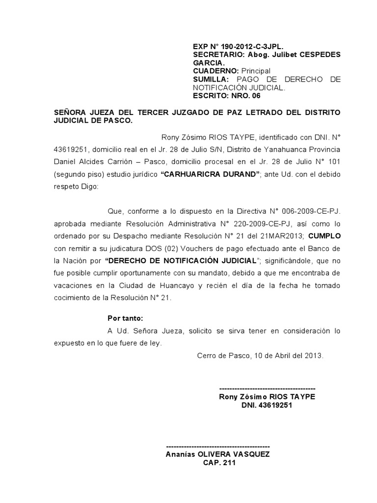 N° 09 Notificación Judicial | PDF