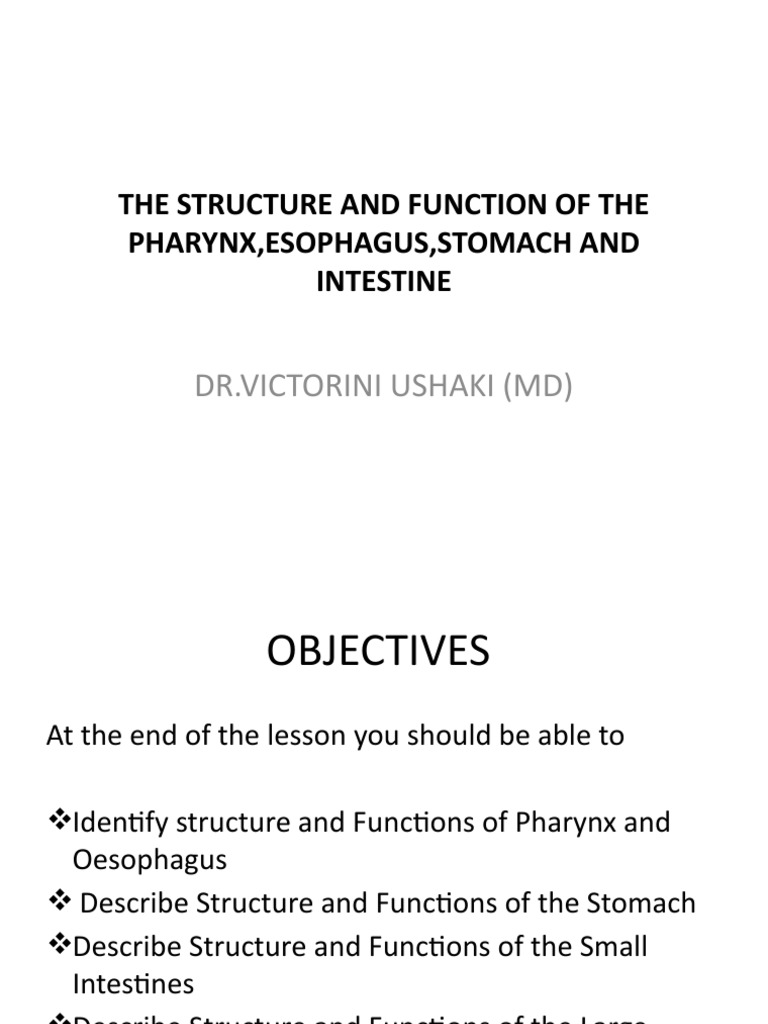Structure and Function of The Stomach and Intestine | PDF | Esophagus ...