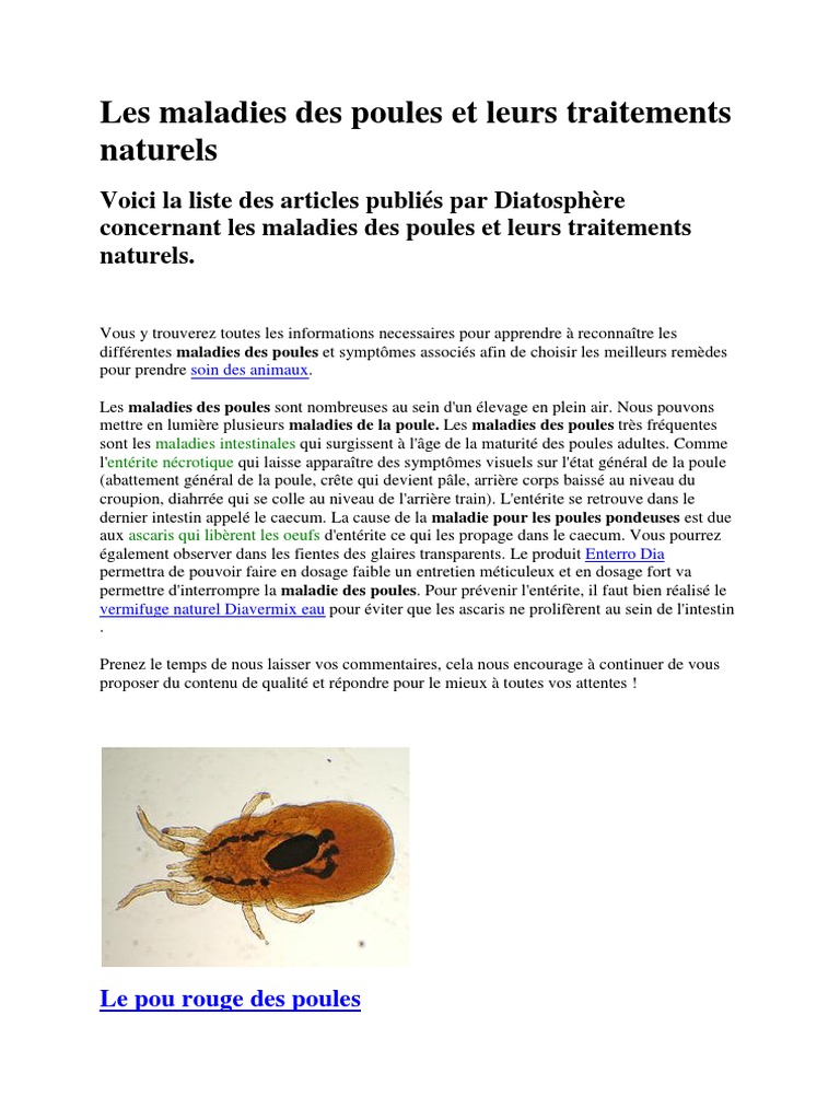 Maladies des poules et traitements naturels | PDF | Poulet | Infection