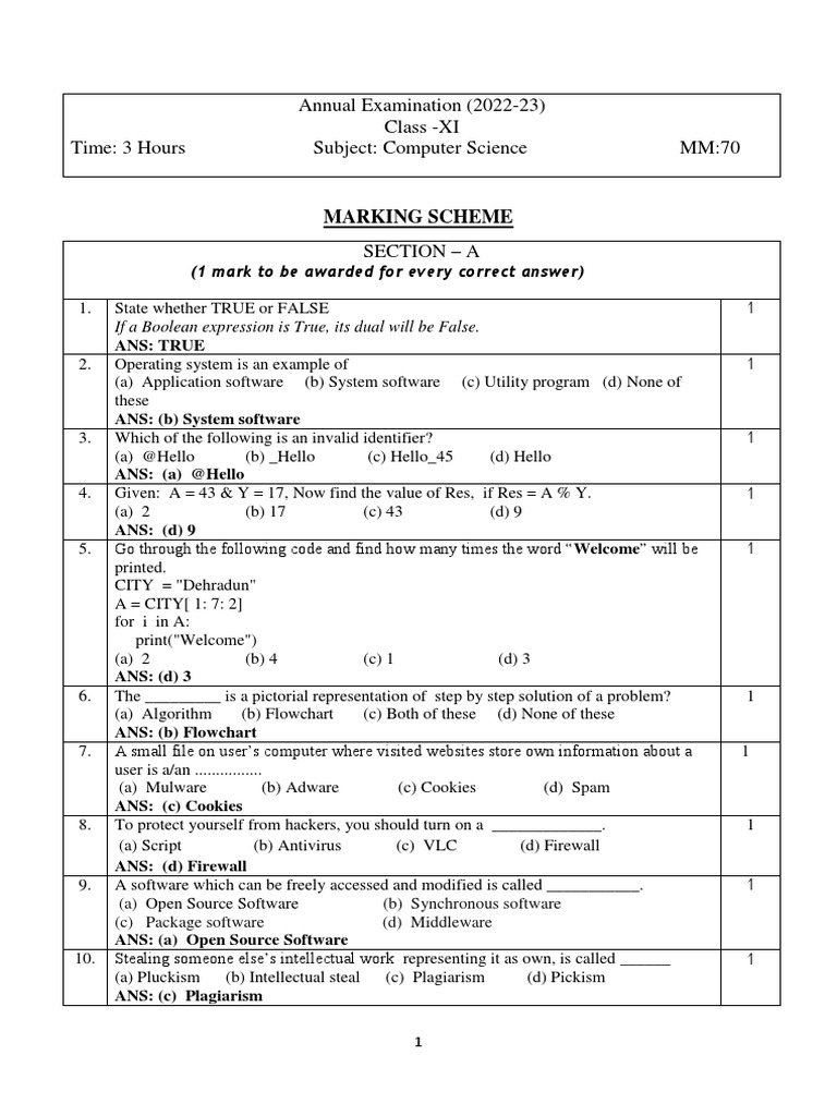 Computer Science Exam Marking Scheme | PDF | Electronic Waste | Computing