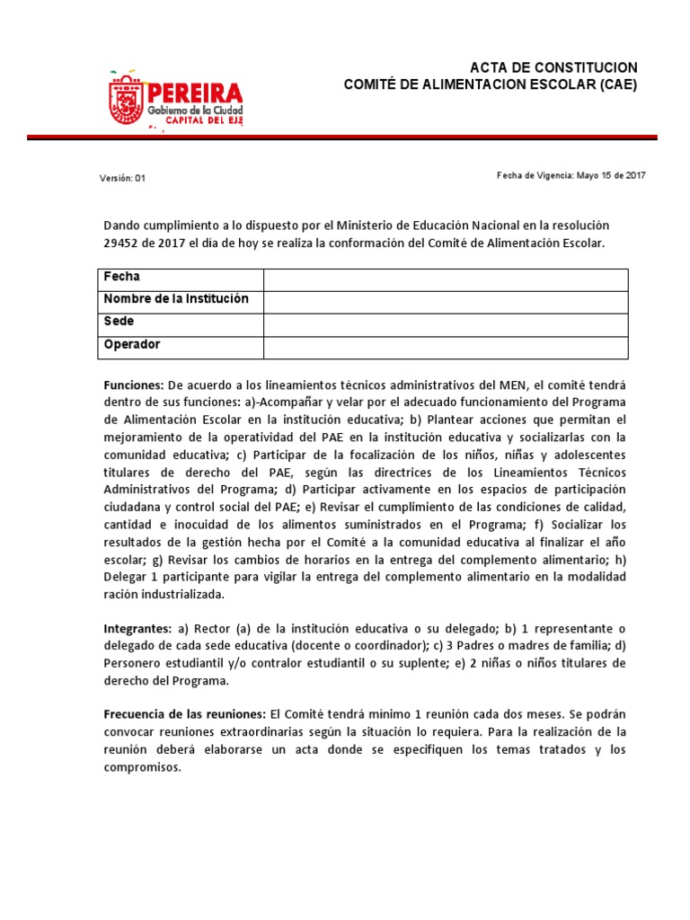 Formato Conformación Cae - 2023 PDF | PDF
