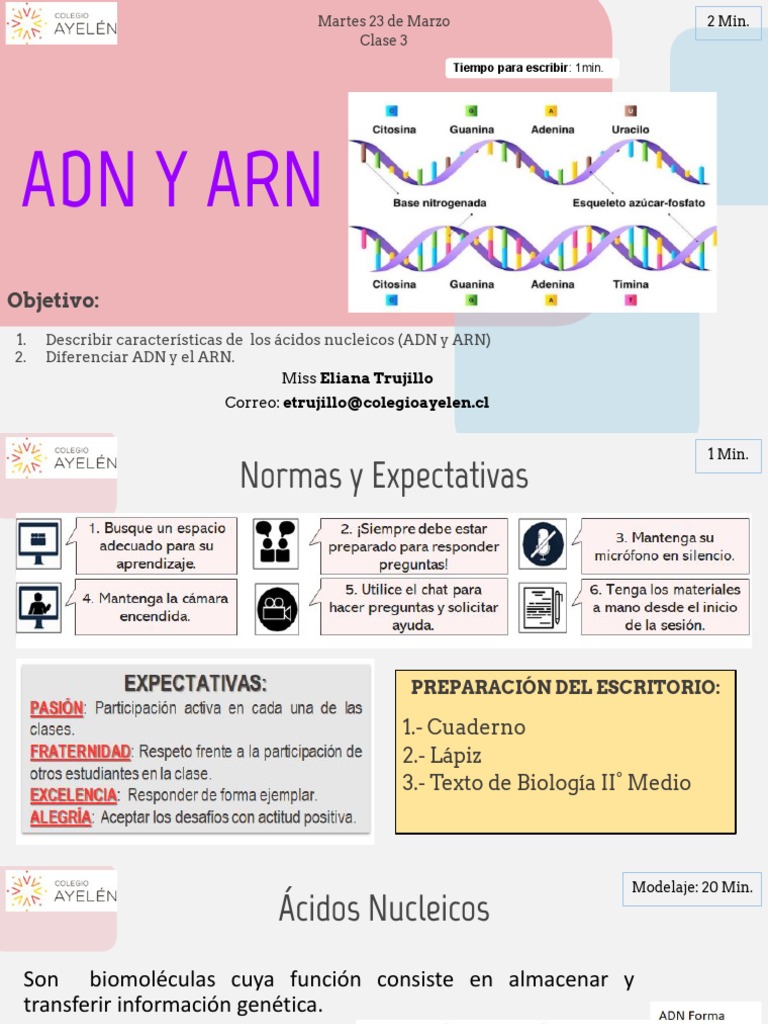 Diferencias y Estructura de ADN y ARN | PDF | Ácidos nucleicos | Rna
