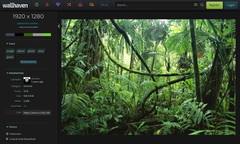 Jungle, Nature, Plants, Vines, Green 1920x1280 Wallpaper - Wallhaven ...