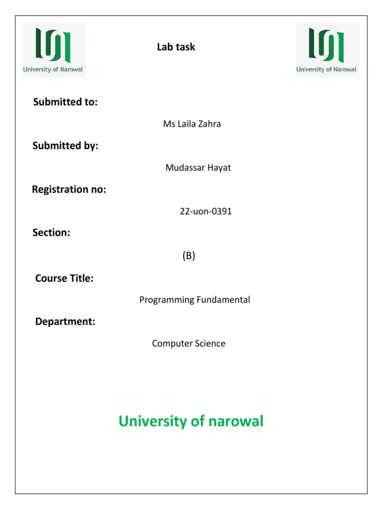 Lab Task Mudassar Hayat PDF | PDF | Matrix (Mathematics) | Control Flow