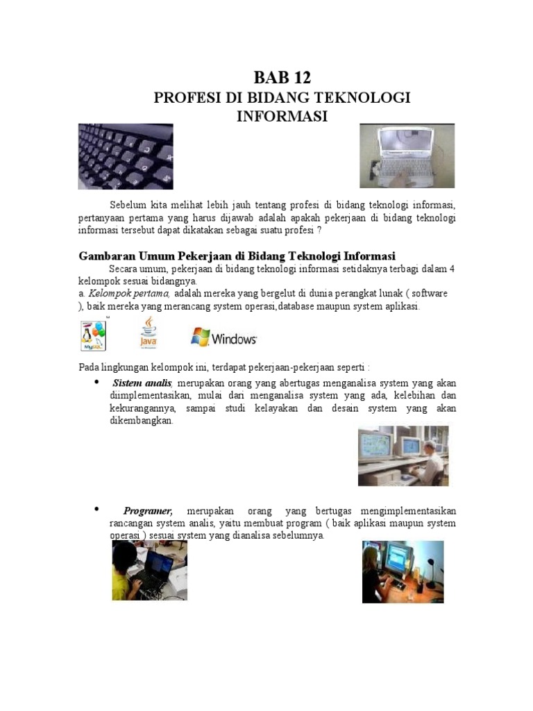 Profesi dan Pekerjaan di Bidang TI | PDF | Bisnis