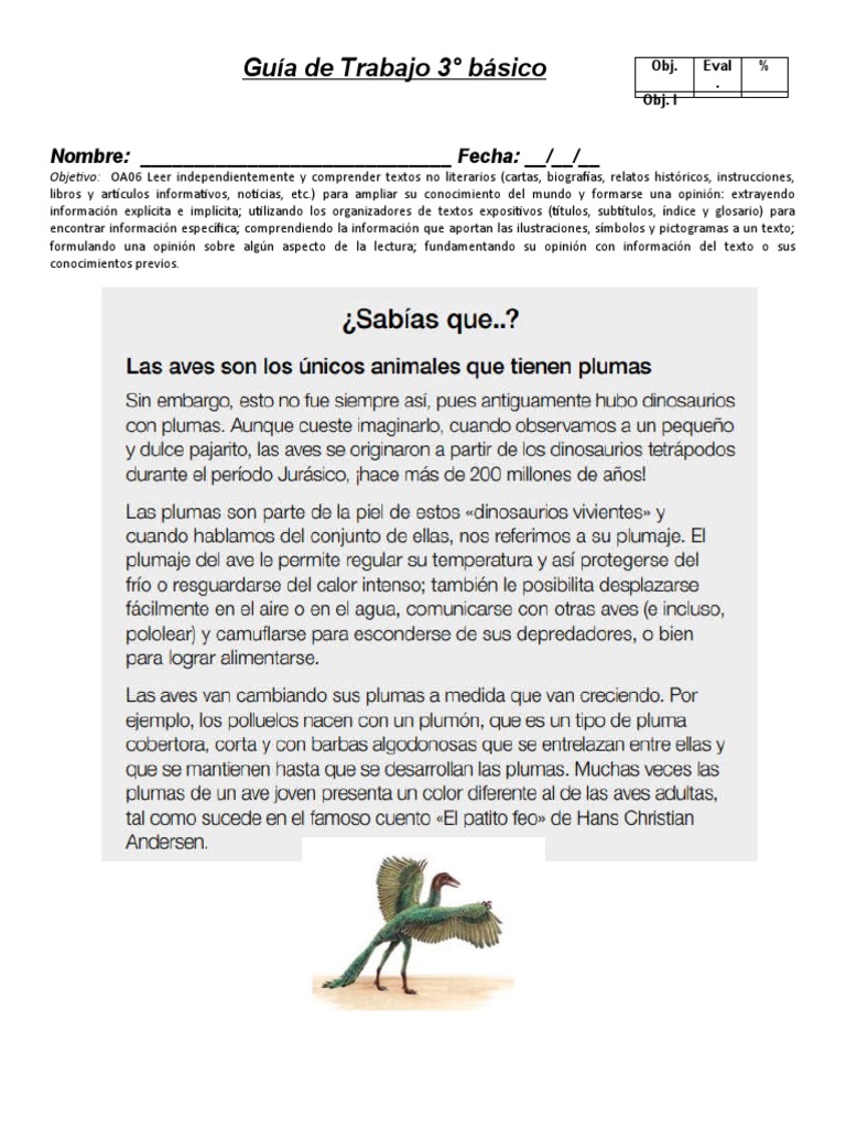 Guía texto informativo 11-05 | PDF