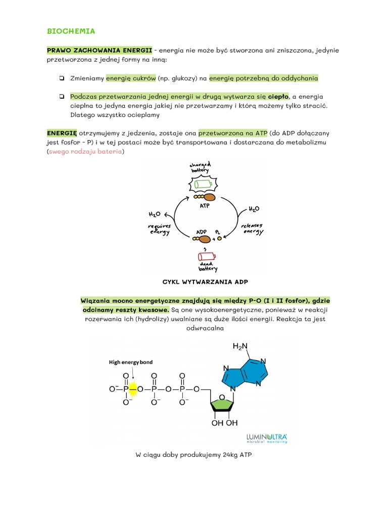 BIOCHEMIA | PDF