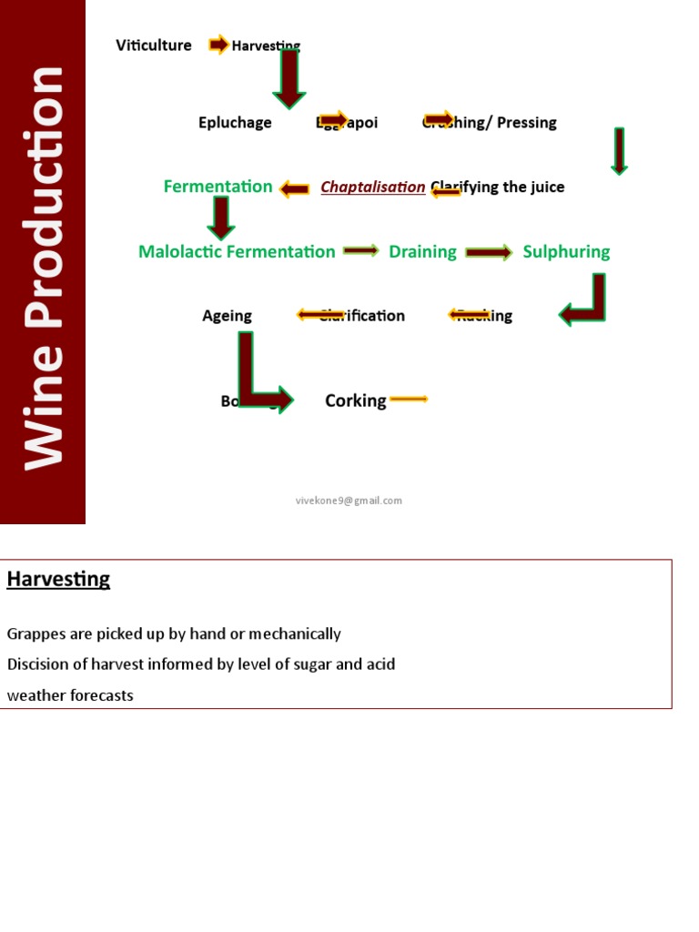 Wine Production Process Overview | PDF | Winemaking | Fermentation In ...