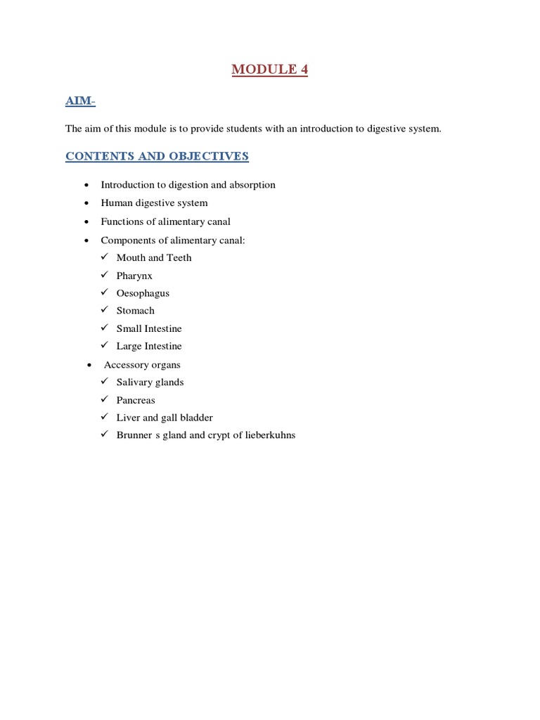 An Introduction to the Human Digestive System: Functions, Components ...