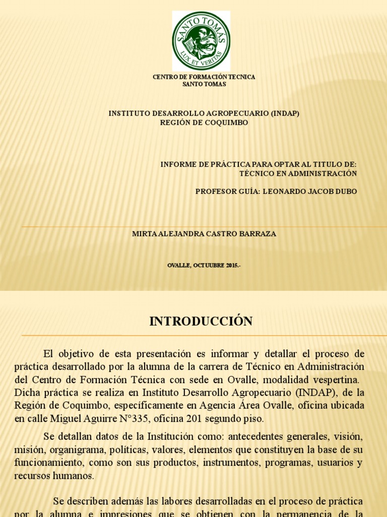 Presentacion Practica Profesional | PDF
