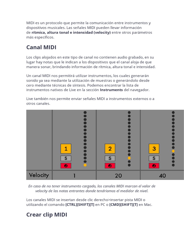Ritmo y Sampling (MIDI - Drum Rack) | PDF | Piano | Sonido