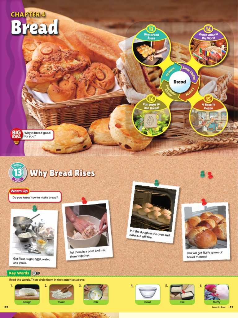 Bread | PDF | Breads | Baker's Yeast