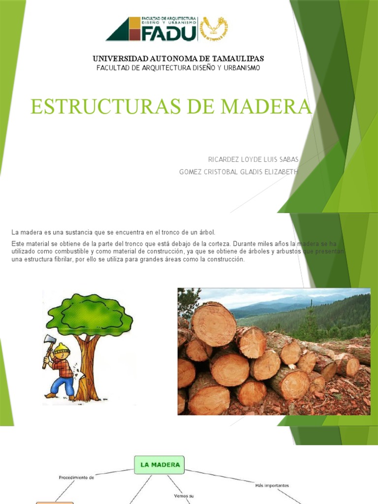 Estructuras de Madera | PDF | Madera | Arboles