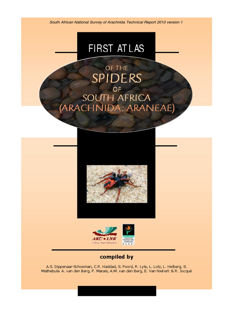 Spiders Spiders Spiders Spiders: First Atlas | PDF