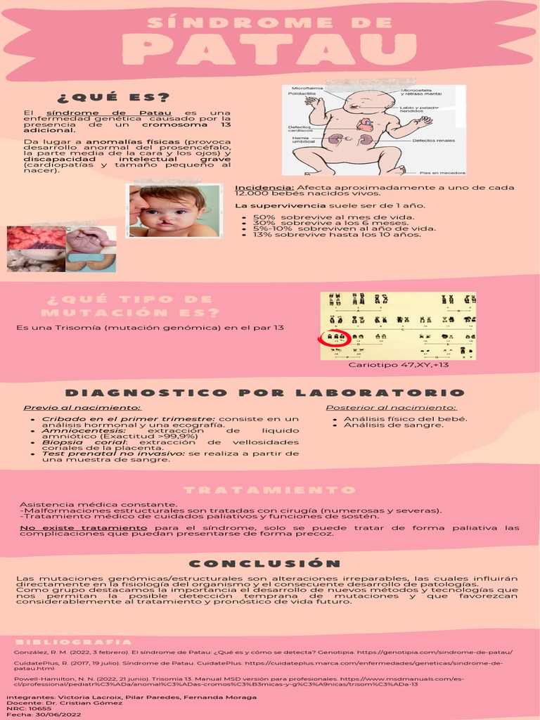 Sindrome de Patau | PDF | Mutación | Genética